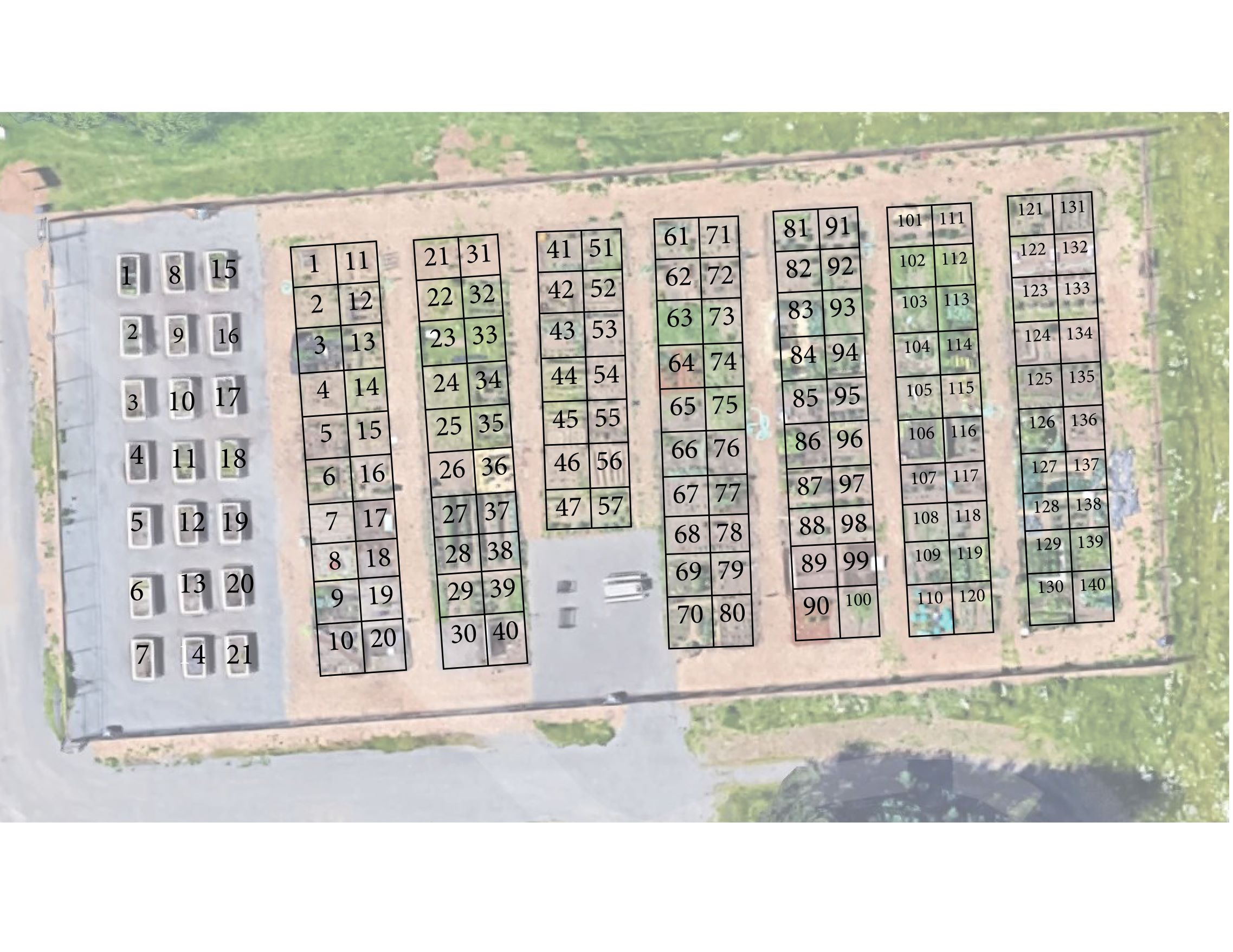 plot community garden