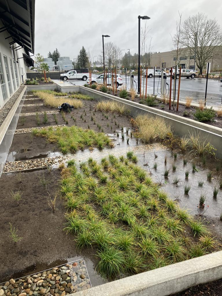 Private Stormwater Facilities | City of Wilsonville Oregon