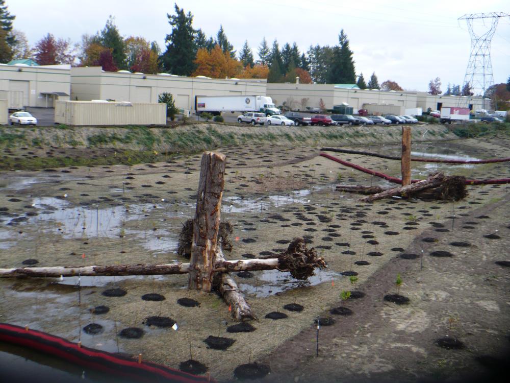 Habitat Restoration | City of Wilsonville Oregon